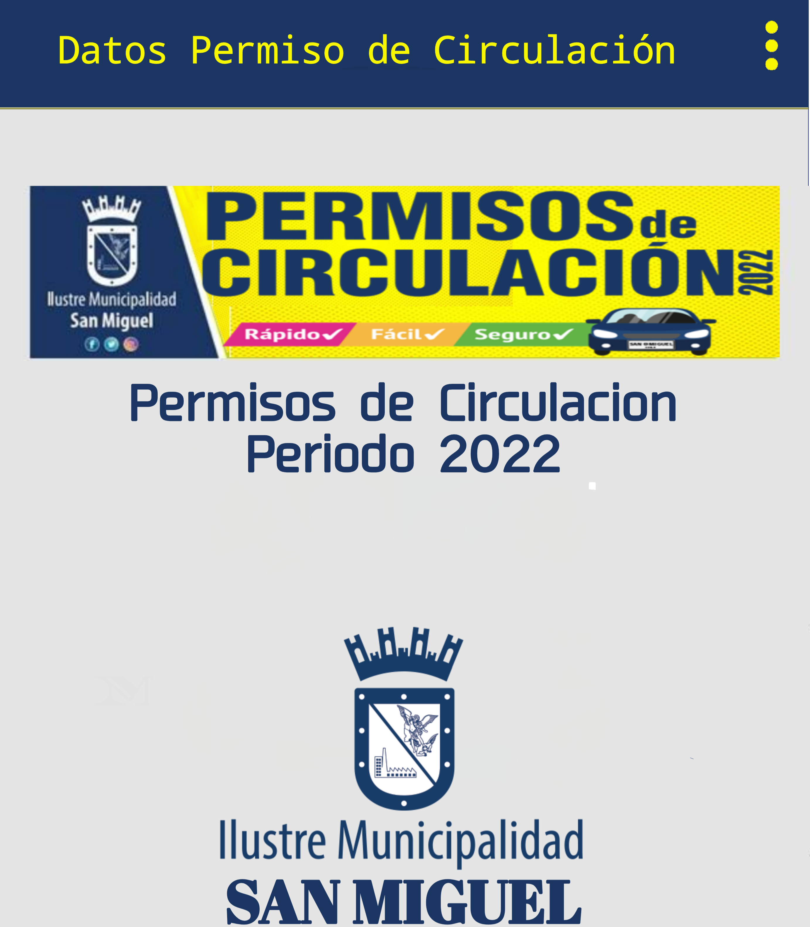 Datos Permiso Circulación